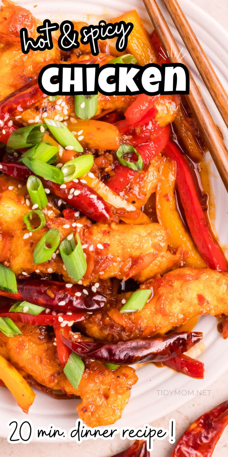 Hot & Spicy Chicken-Easy One Pan Meal - TidyMom®