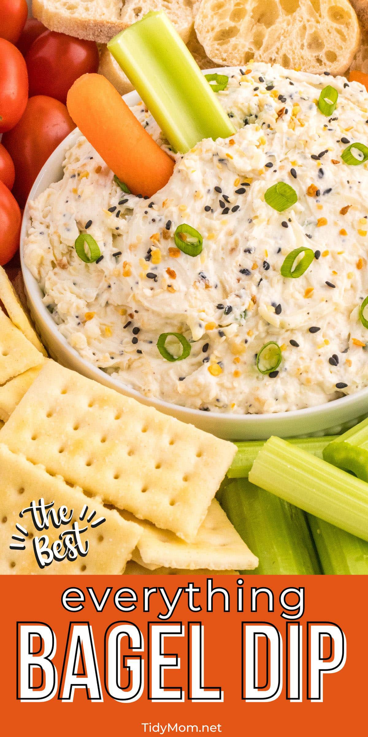 Everything Bagel Dip - TidyMom®