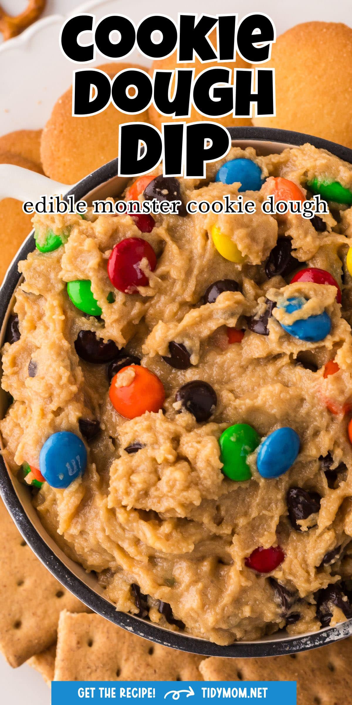 Monster Cookie Dough Dip Recipe - TidyMom®