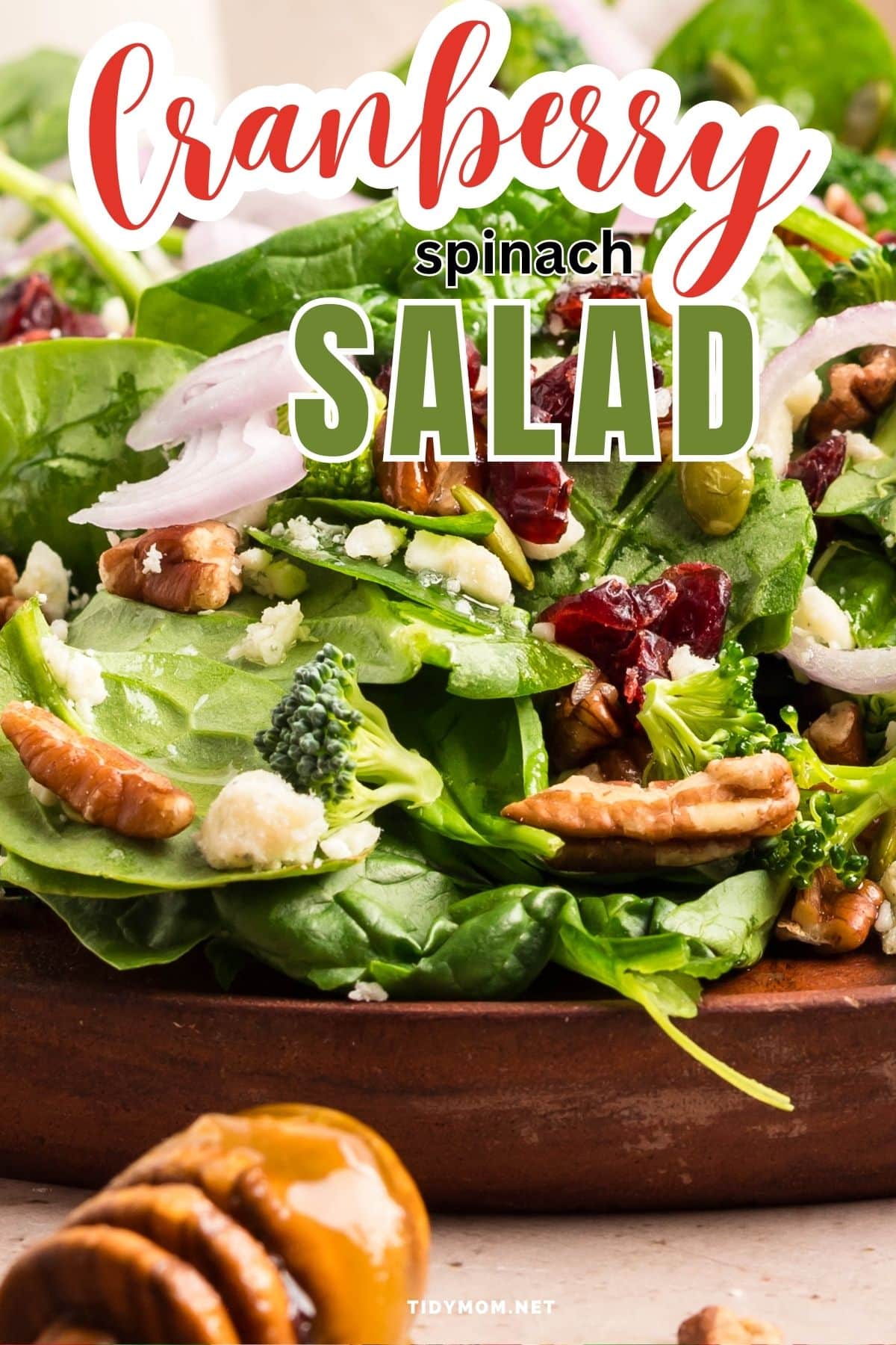 Spinach Salad Dressing Tidymom