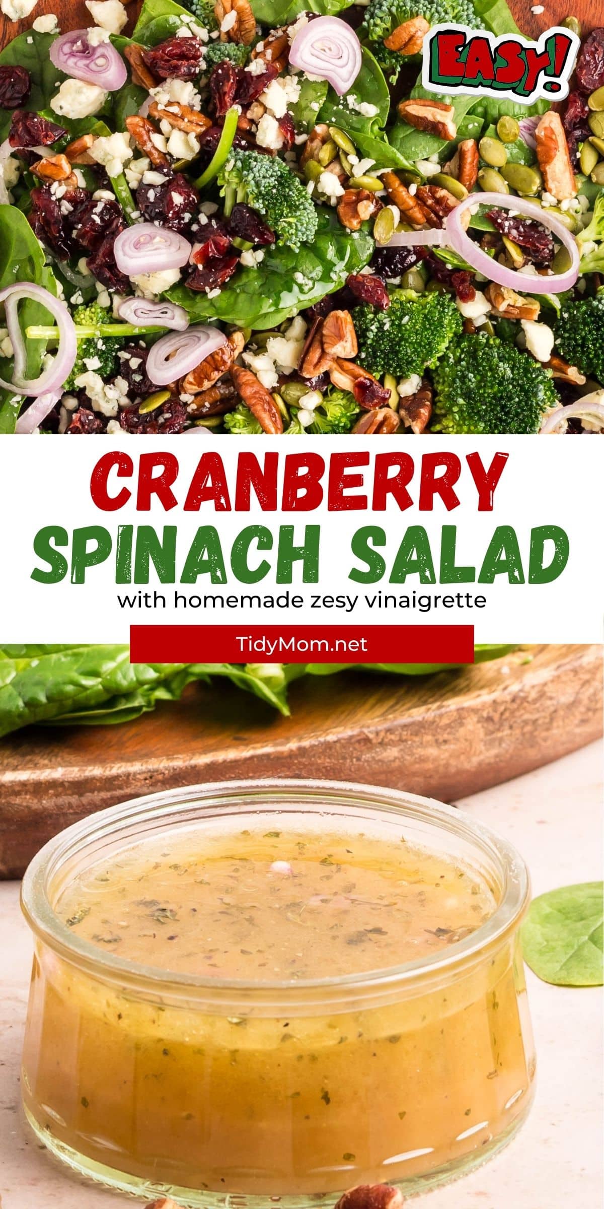Spinach Salad Dressing Tidymom