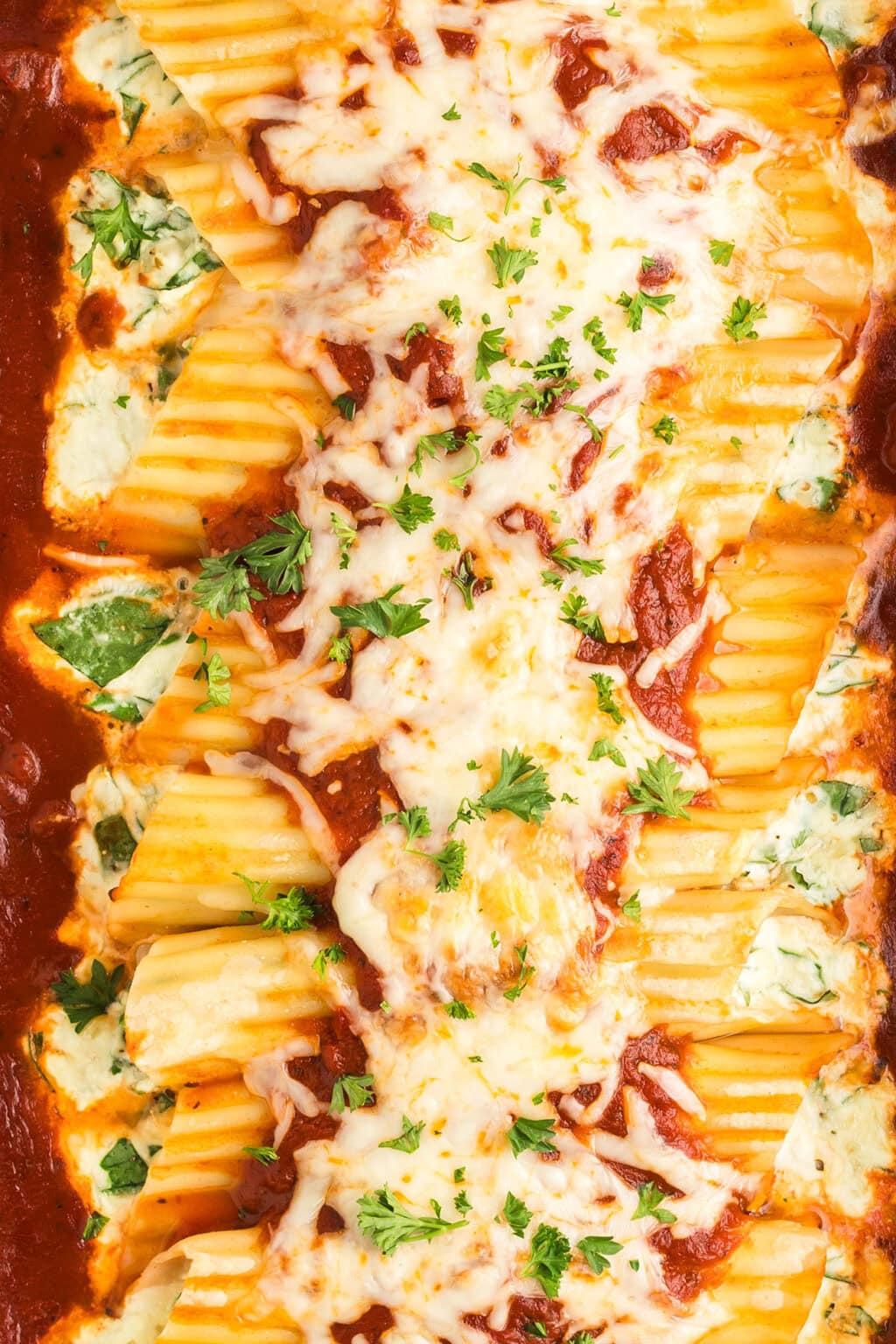 Easy Cheese Manicotti - TidyMom®