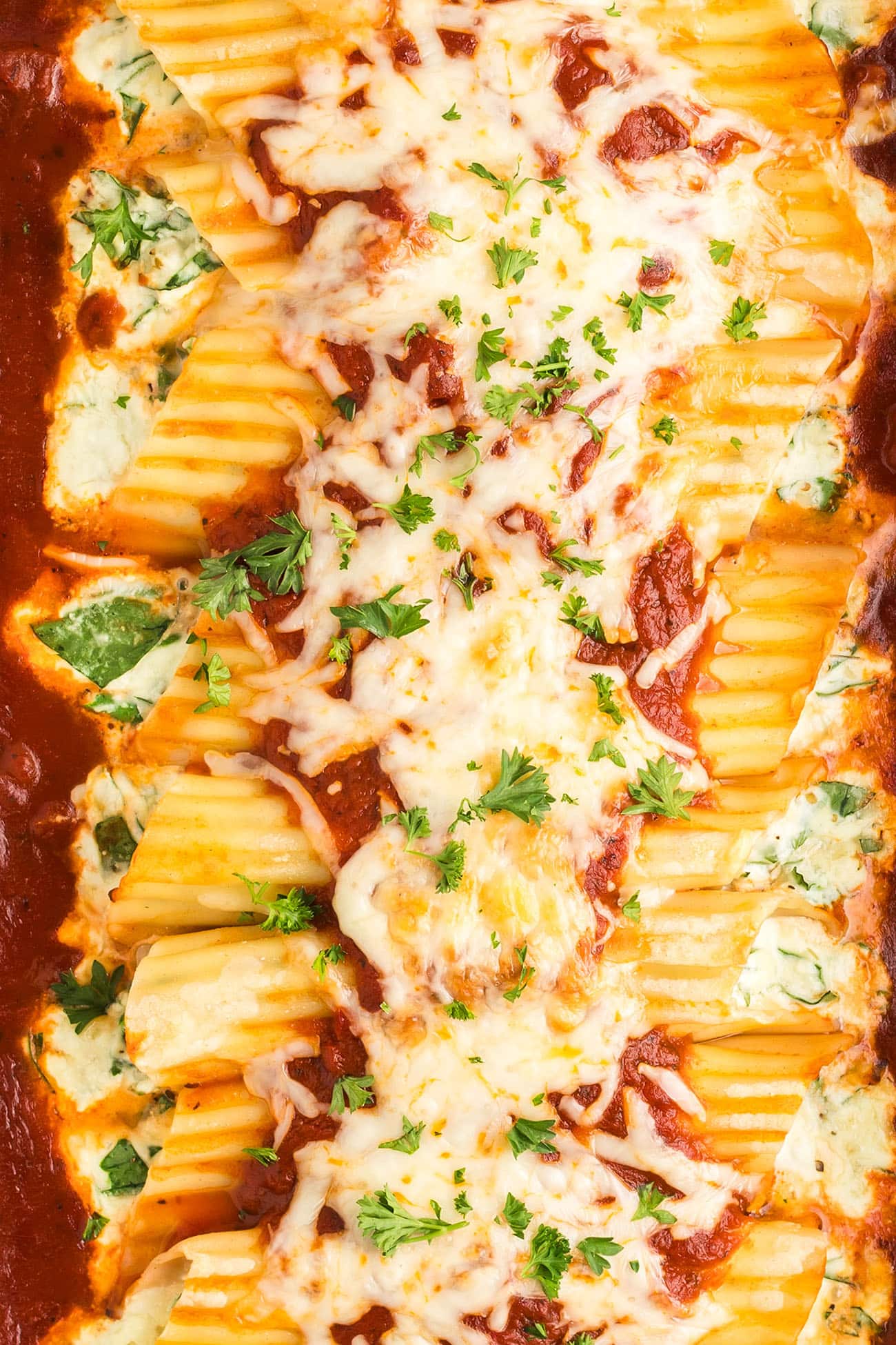 Easy Cheese Manicotti - TidyMom®